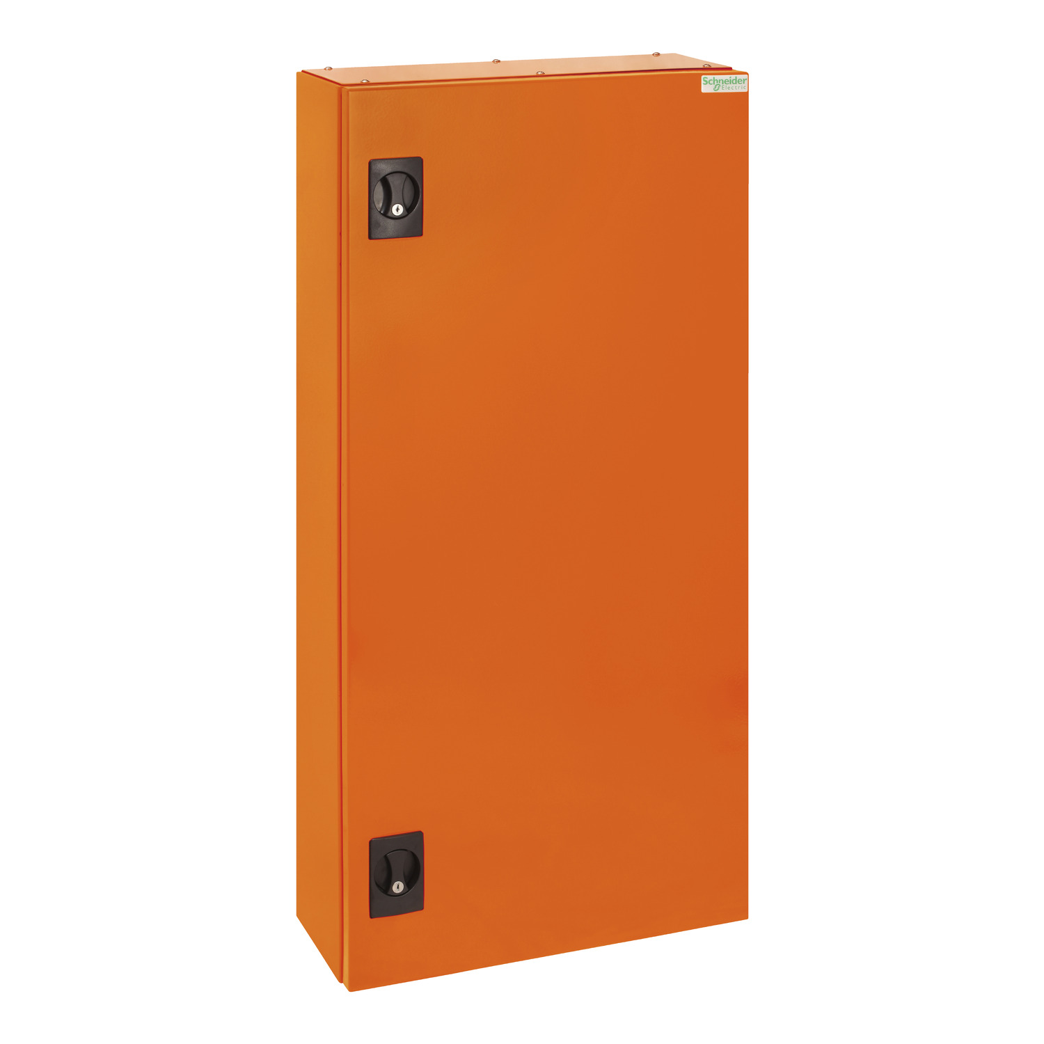 MB Encapsulated distribution board, Acti9, 60 poles, 250A main switch ...