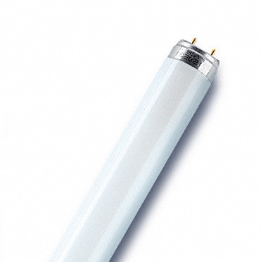 28w T5 COOL WHITE 4000k Tube | AGM Electrical Supplies